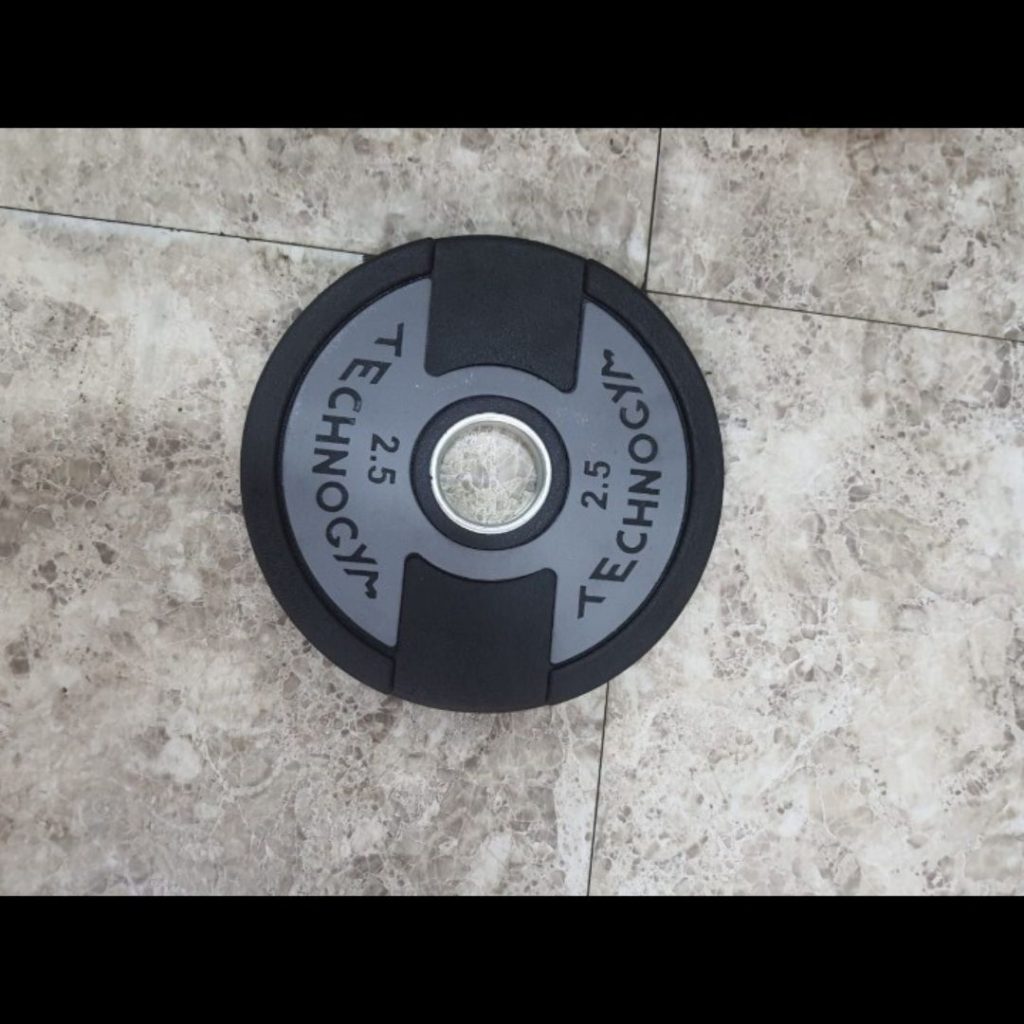 Techno Gym Plate Pair - Igym Health & Fitness
